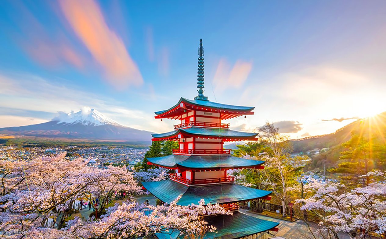 [Mount Fuji, Hakone, Kawaguchiko, and Flower Viewing] 7-11 Convenience ...