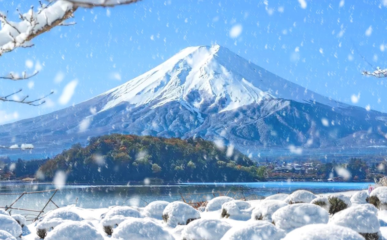 The Essential Fuji Tour: Visit 6 Most-Rated Scenic Spots in One Day ...