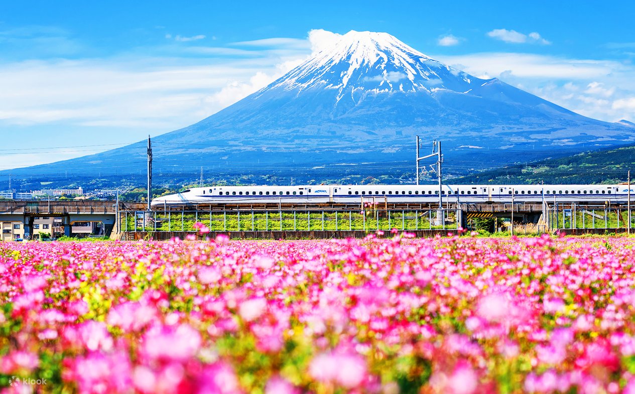 Excursion d'une journée de rêve au Mont Fuji et à Hakone : 5e station ...