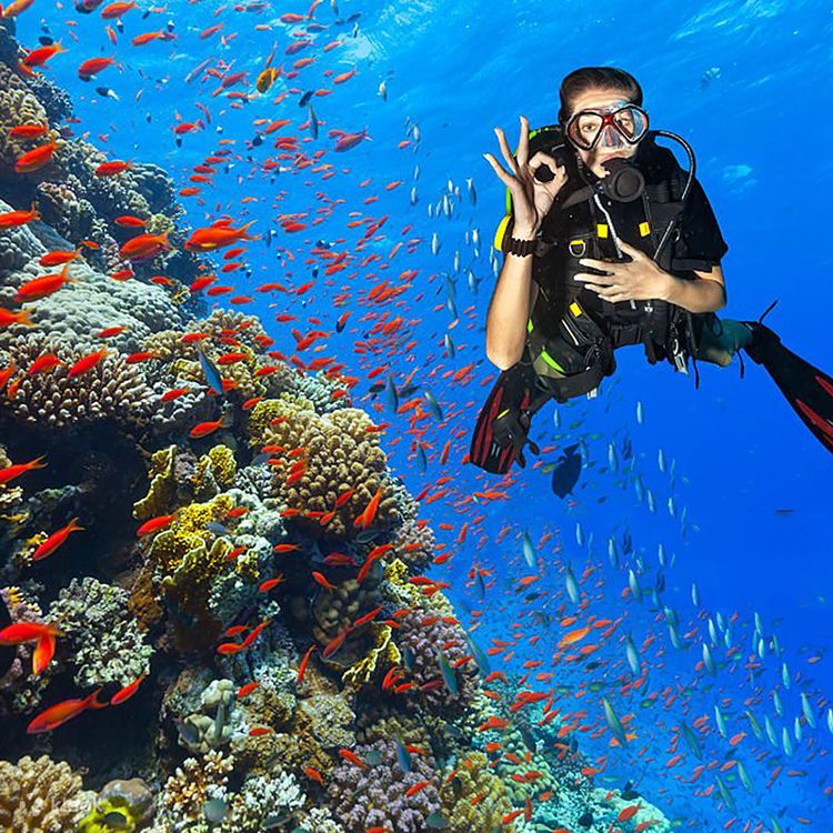 Scuba Diving Pictures