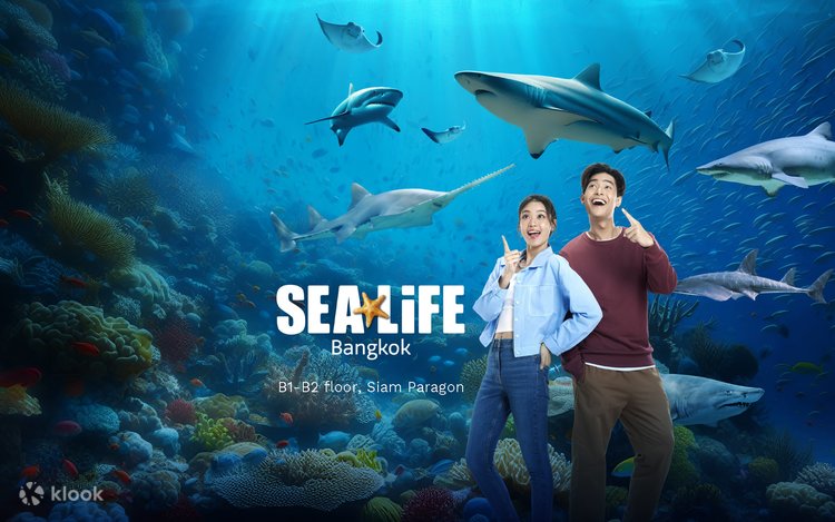 Sea Life Bangkok Ocean World Ticket Online - Klook