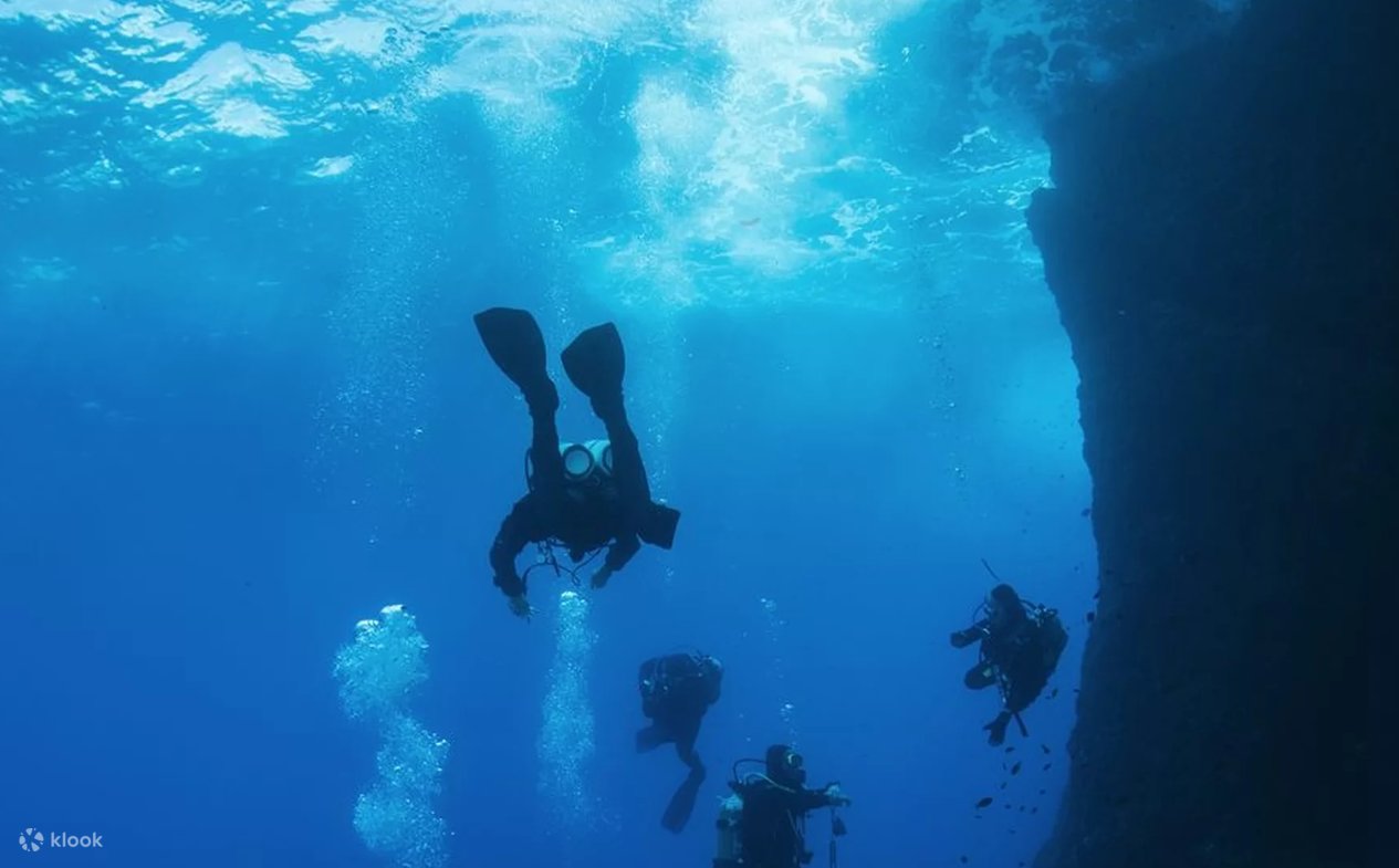 PADI ReActivate Scuba Refresher in Sardinia with Elite 5 Star Dive ...