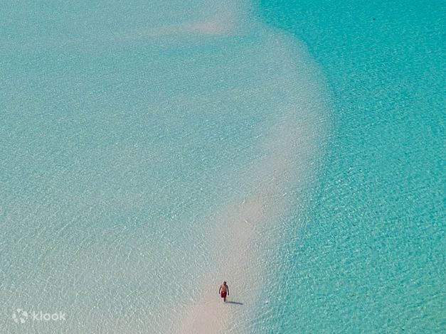 Sandbar Tour in Balabac, Palawan - Klook Canada