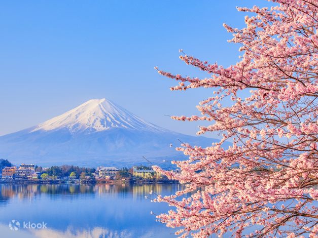[Mt. Fuji & Hakone] Fujisan Yumeno Ohashi, Owakudani, Oshino Hakkai - Klook