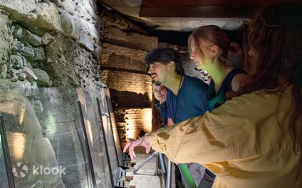 Discovery Tour DOMunder in Utrecht - Klook Singapore