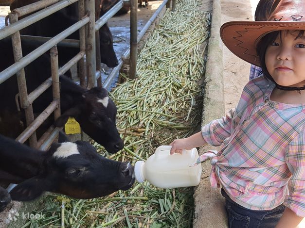 Moolk Farm Tour in Rizal - Klook