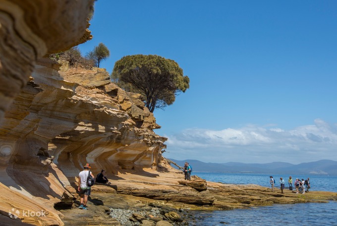 Maria Island Highlights Active Day Tour - Klook香港