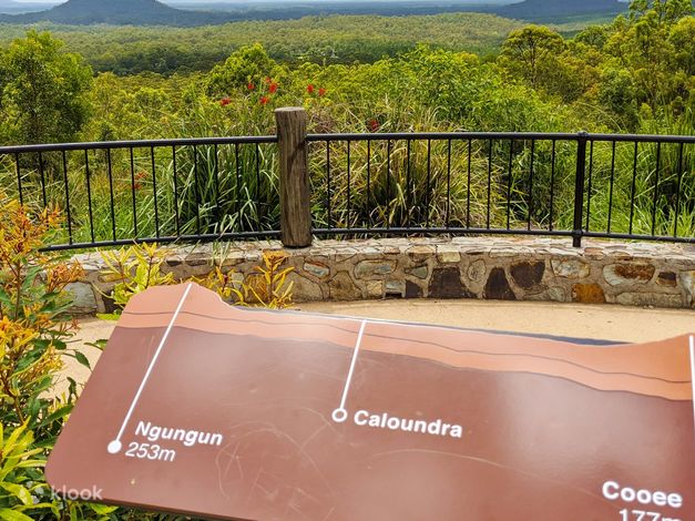 Noosa, Aussie Animals & Glass House Mountains from Brisbane - Klook Canada
