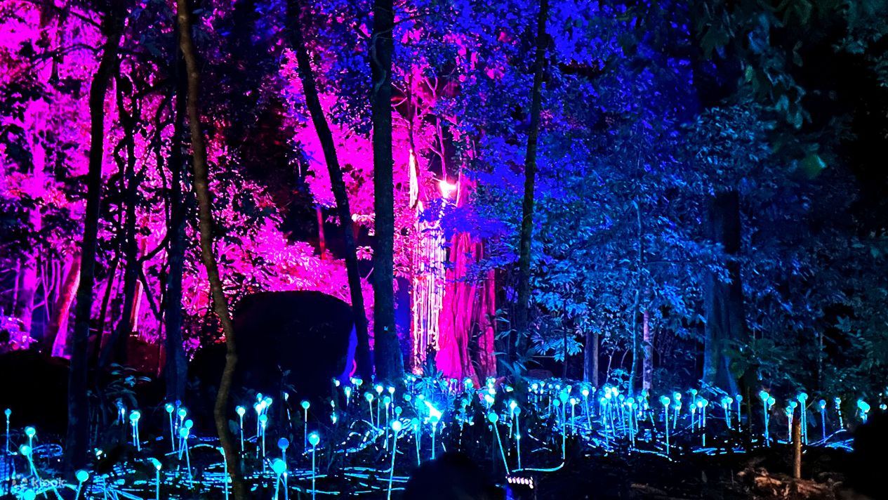 Dream Forest Langkawi Ticket - Klook Malaysia