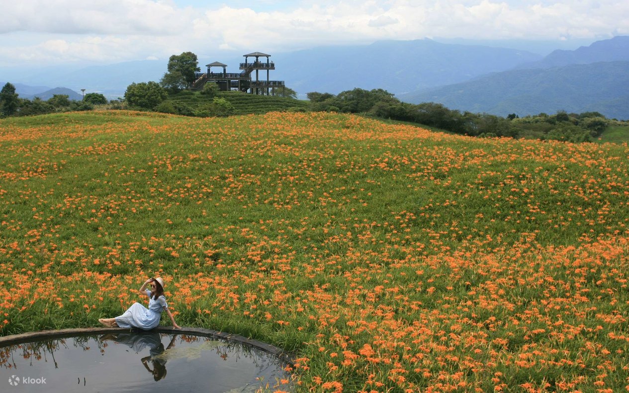 Hualien Sixty Stone Mountain Flower Sea Half-Day Tour - Klook
