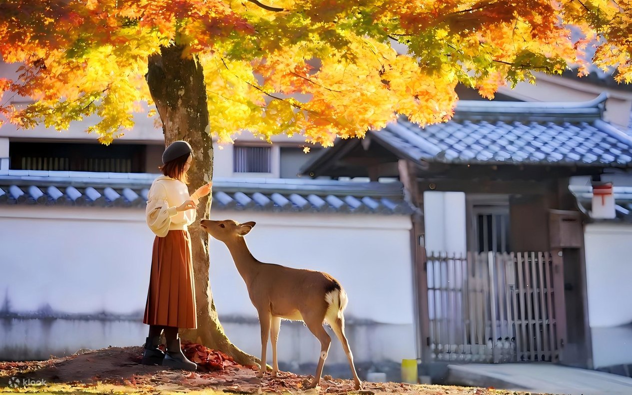 Artistic and In-depth Tour: One-Day Trip to Nara, Uji, and Hot Springs ...