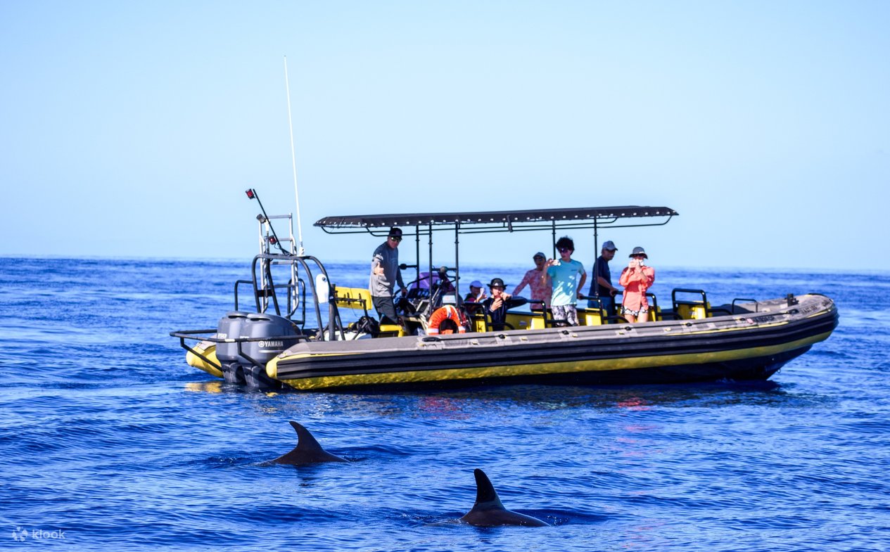 Captain Cook Monument Dolphin Watch in Kealakekua Bay - Klook Canada