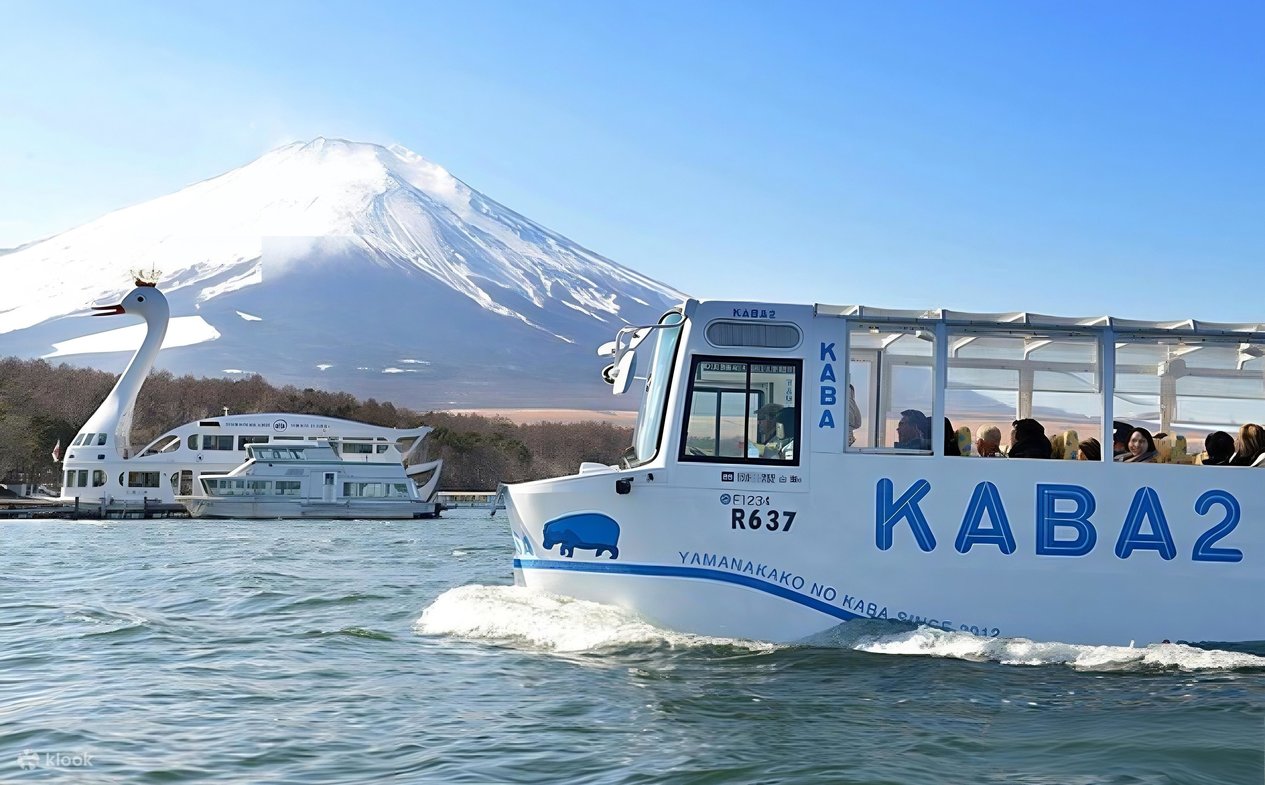 Small Group Tour (9 People): Amphibious Kaba Bus Experience | Mount ...