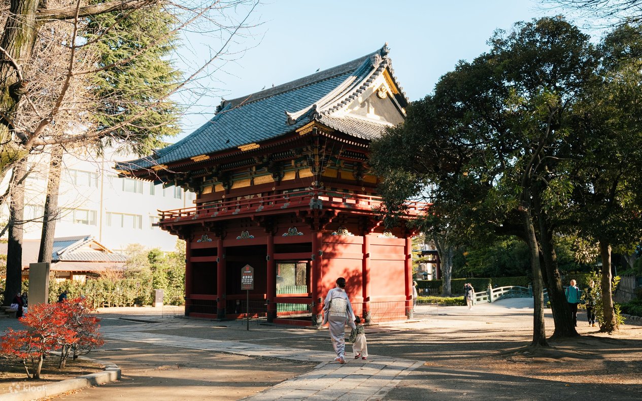Tokyo Old Town & Nezu Shrine Half-Day Small Group Experience - Klook