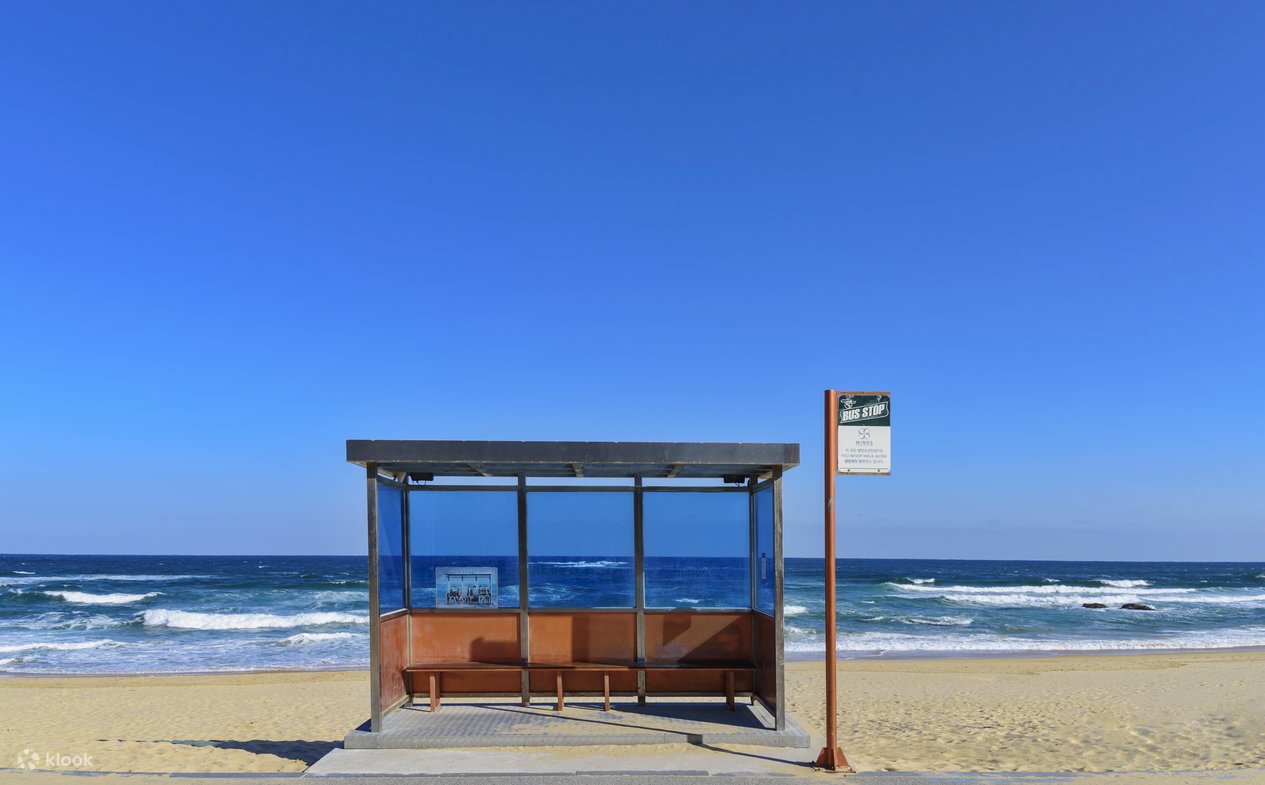 Gangneung Private Car with Driver: Visit Jumunjin BTS Bus Stop ...