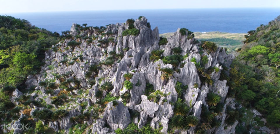 Yambaru National Park Daisekirinzan Ticket in Okinawa - Klook Australia