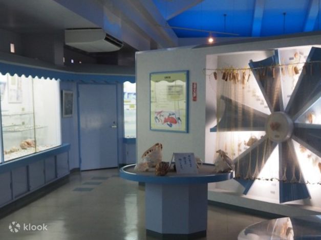 Miyakojima Kaihokan Shell Museum ticket - Klook