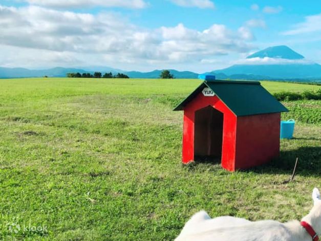 Join In Lake Toya Hot Spring Gourmet Tour in Toyako and Noboribetsu ...