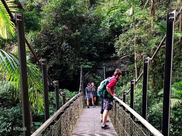 Springbrook National Park Day Tour from Brisbane - Klook United Kingdom
