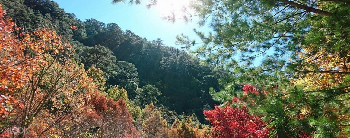 ทัวร์อู่หลิงฟาร์ม (Wuling Farm) จากไทเป, ไต้หวัน