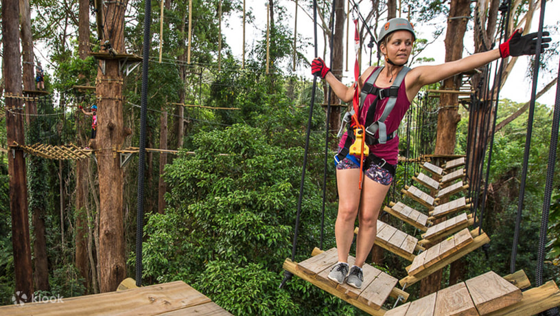 TreeTop Challenge at Adventure Park - Klook