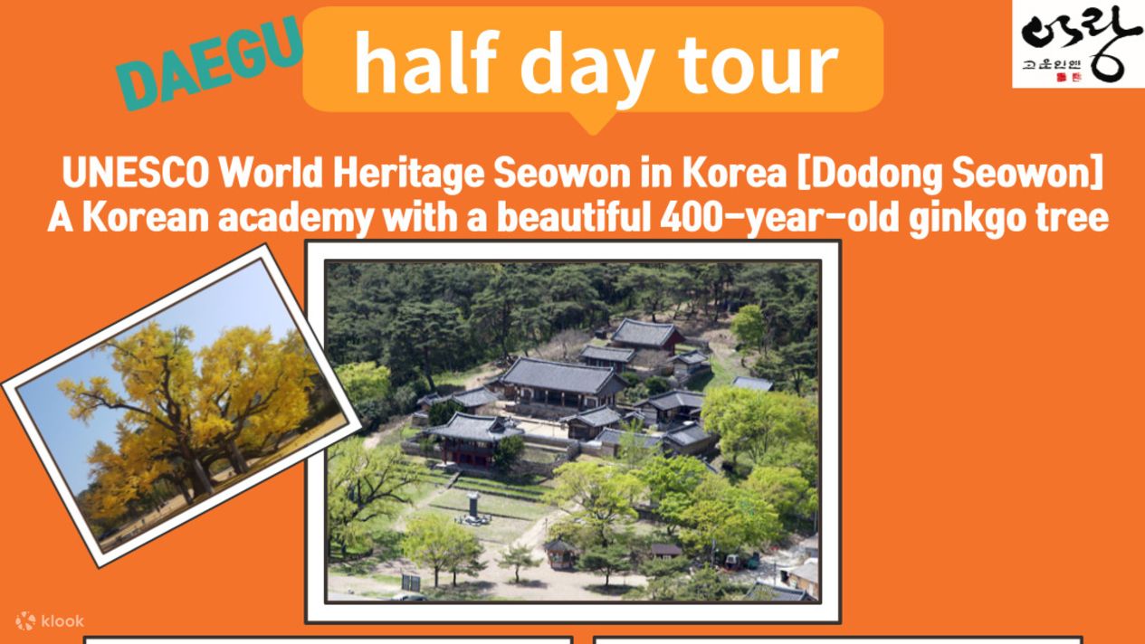 Tour de atracciones históricas de Daegu - Klook Estados Unidos