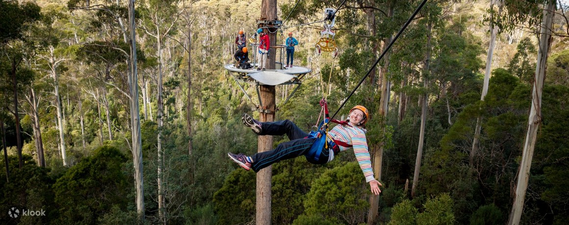 Hollybank Wilderness Zipline, Segway, and High Ropes Adventures in ...