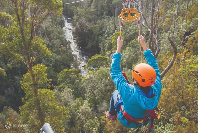 Hollybank Wilderness Adventures in Launceston - Klook