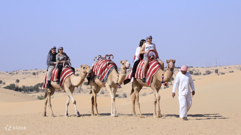Midday Desert Safari at Al Khayma Dubai - 클룩 KLOOK 한국