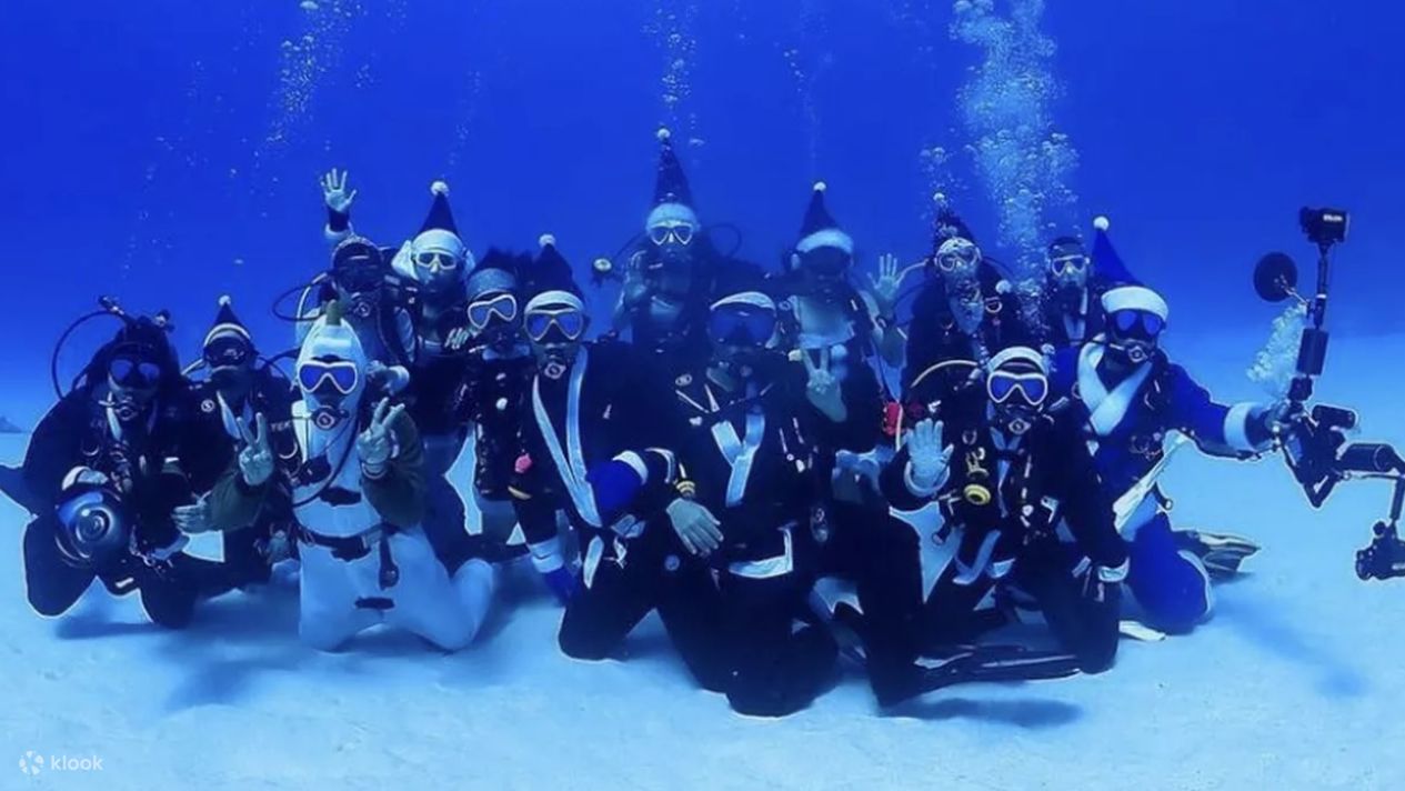 Explore the Depths: Open Water Diver in Busan with PADI 5 Star IDC - Klook