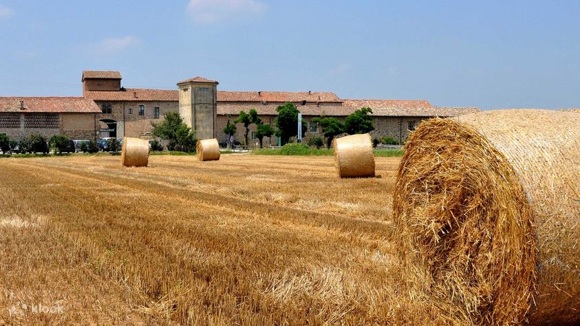 Pasta Museum Admission Ticket - Klook Hong Kong