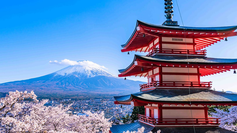 See Cherry Blossoms on a Day Trip to Mt. Fuji, Shin Arakura Sengen from ...
