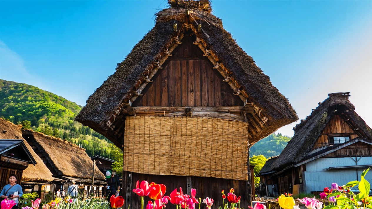 Gifu: Hida Takayama & Shirakawa-go Gassho Village Day Tour 4~9 people ...