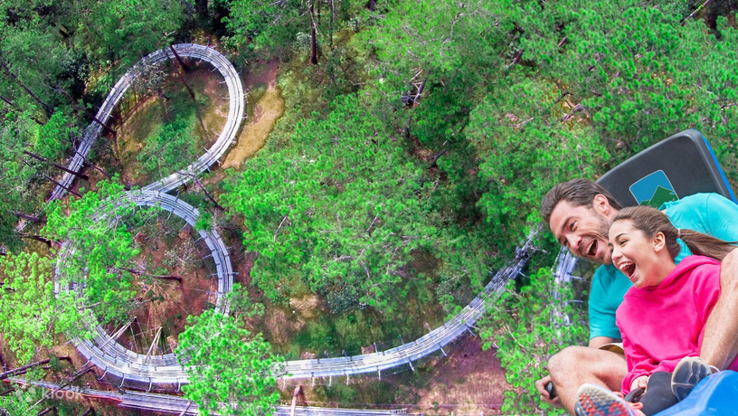 Datanla New Alpine Coaster Experience in Da Lat, Vietnam - Klook Australia