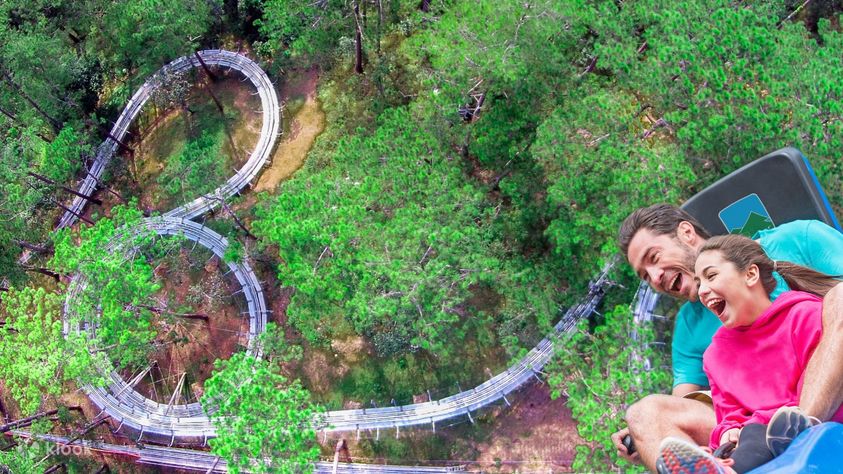 Datanla New Alpine Coaster Experience in Da Lat, Vietnam - Klook United ...