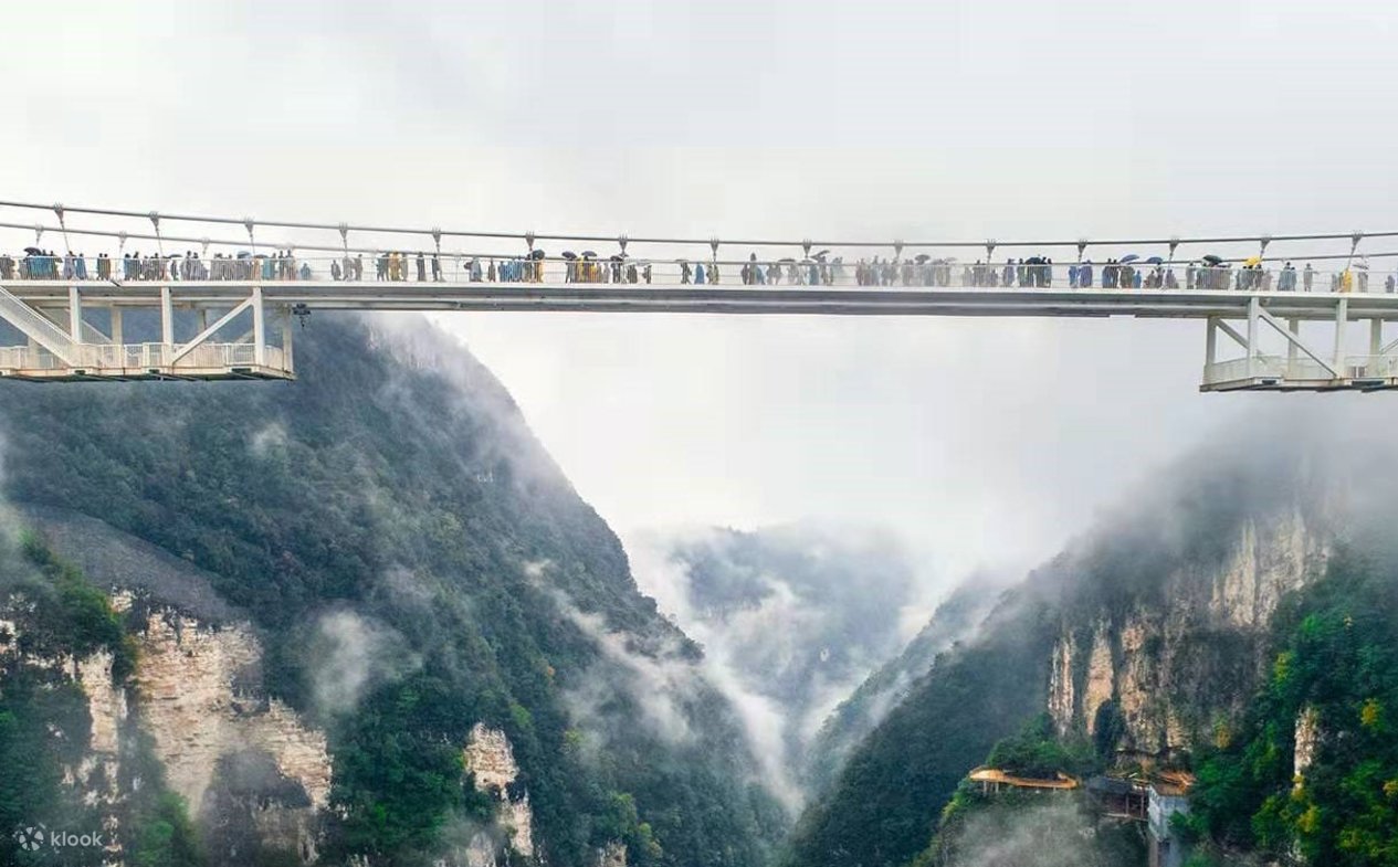Zhangjiajie Grand Canyon and Glass Bridge Discount Tickets Zhangjiajie ...