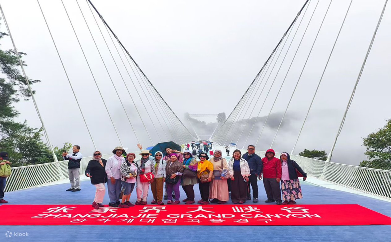 【Promo de fin d'année : 300 ¥ de réduction pour 3 personnes】 Zhangjiajie Parc forestier & Mont ...