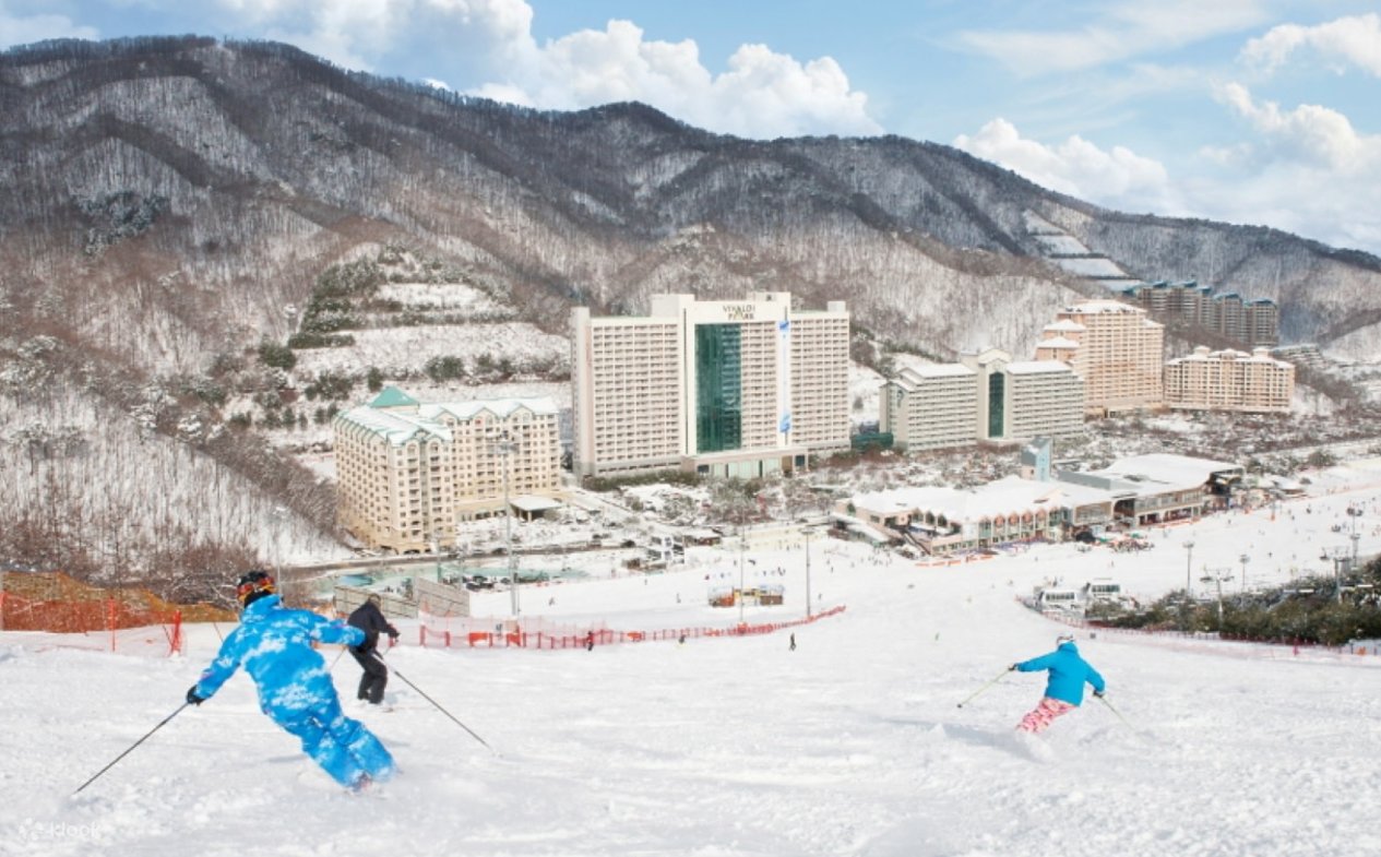 Nami Island & Vivaldi Ski One Day Tour - Klook New Zealand