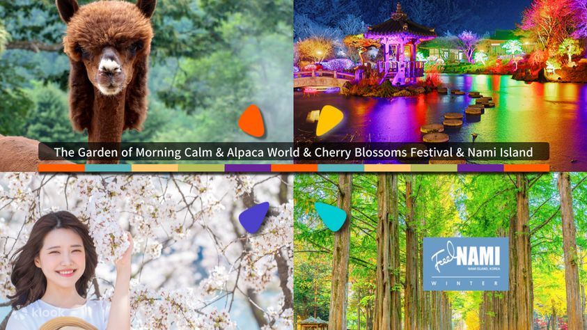 Starlight Festival of the Garden of Morning Calm - Klook