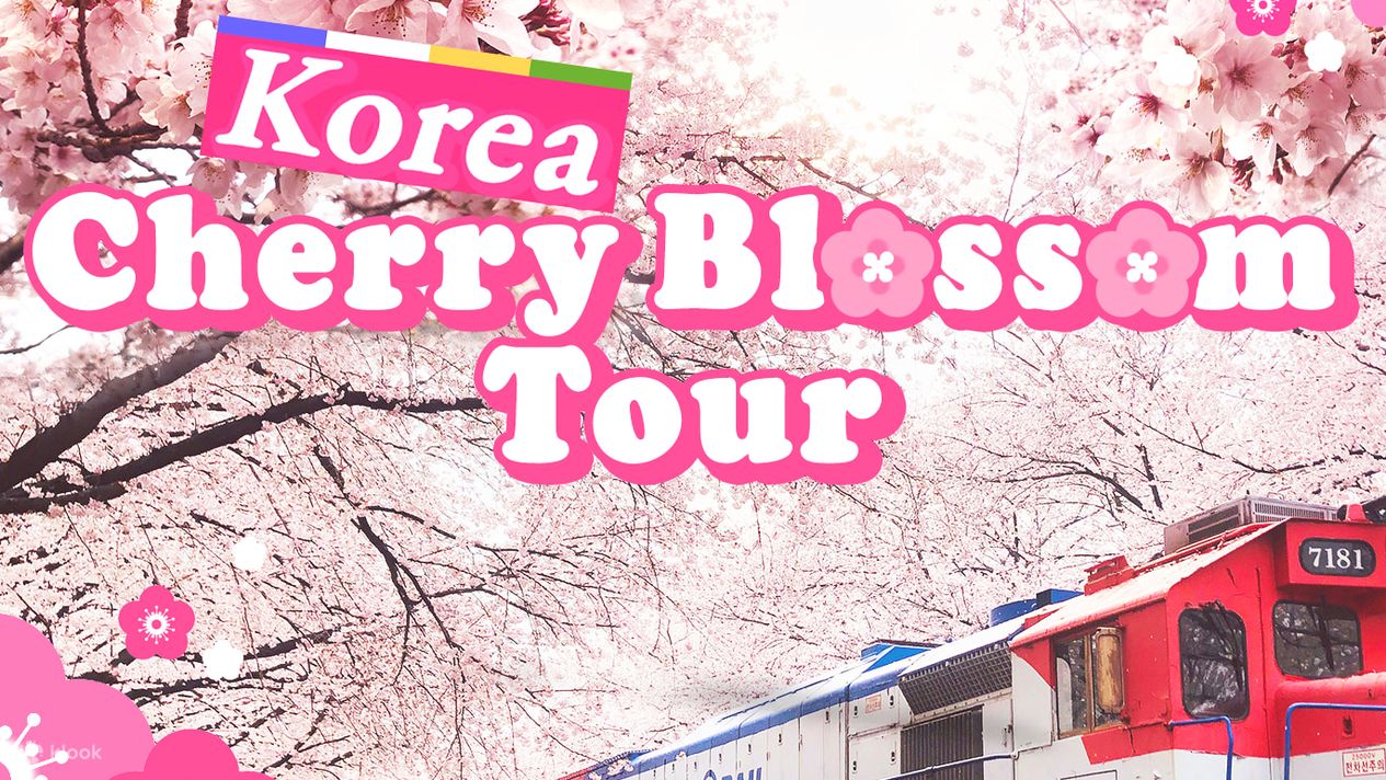 Korea Cherry Blossom Tour from Seoul - Klook