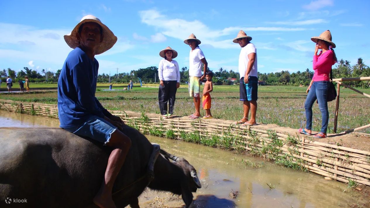 Motag活态博物馆全地形车和高空滑索体验 - Klook客路