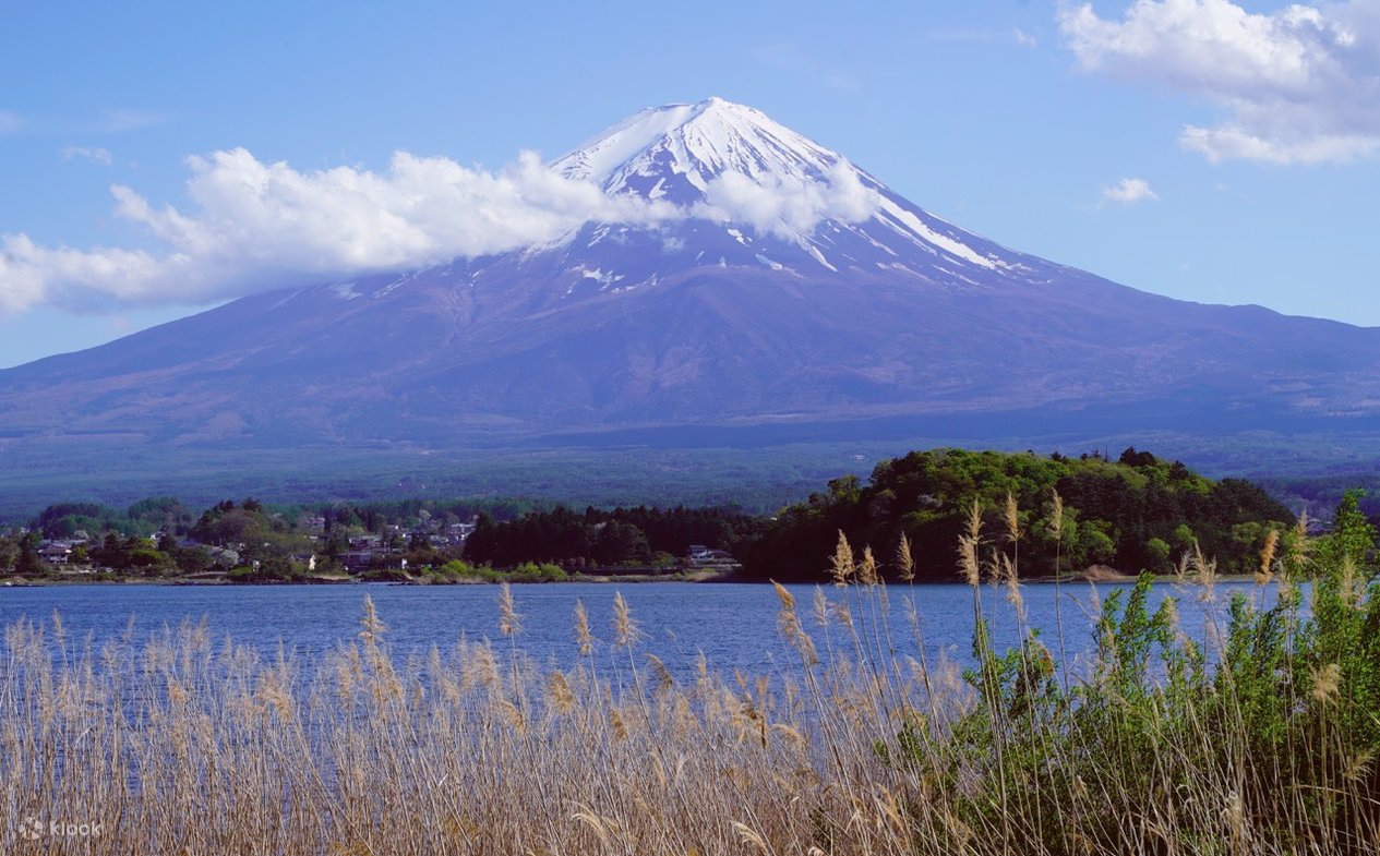 One-day flower viewing tour｜Mount Fuji flower viewing + Lawson ...