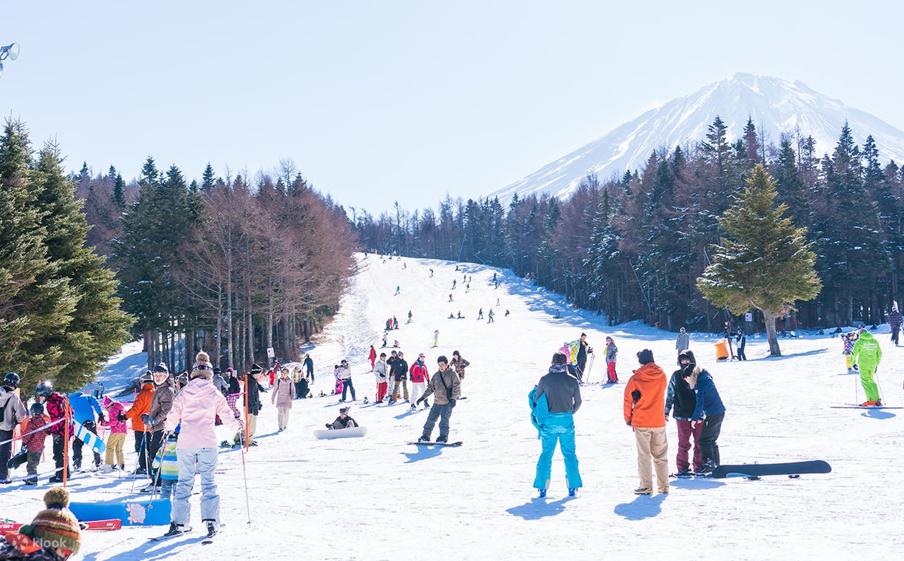 Mt. Fuji Yeti Snow Resort Skiing/Snow Fun & Izu Fruit Park Strawberry ...