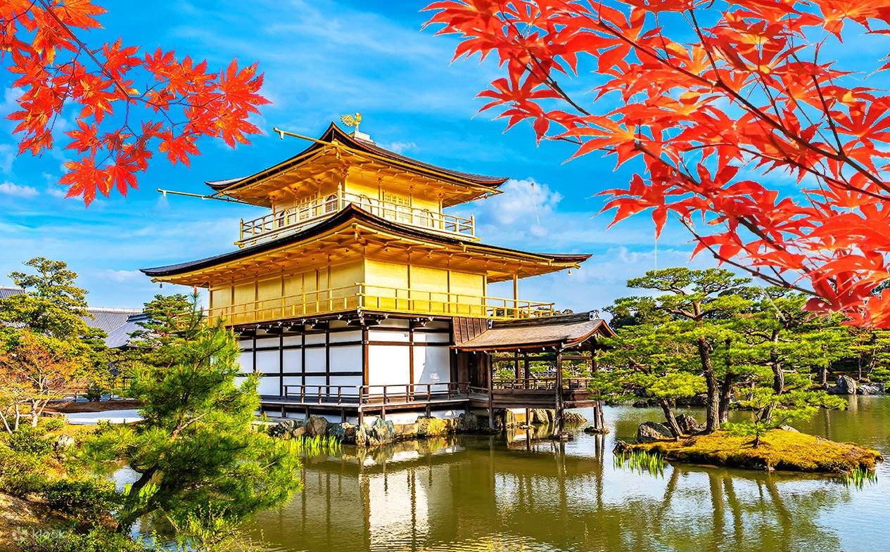 Nijo Castle/Heian Shrine/Kinkaku-ji Temple/Arashiyama/Fushimi Inari ...