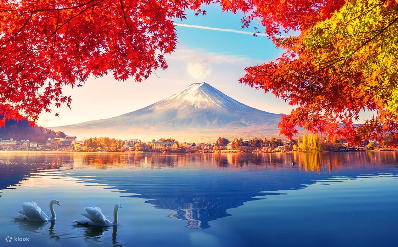 Mount Fuji Panoramic Ropeway at Lake Kawaguchiko & Oshino Hakkai ...