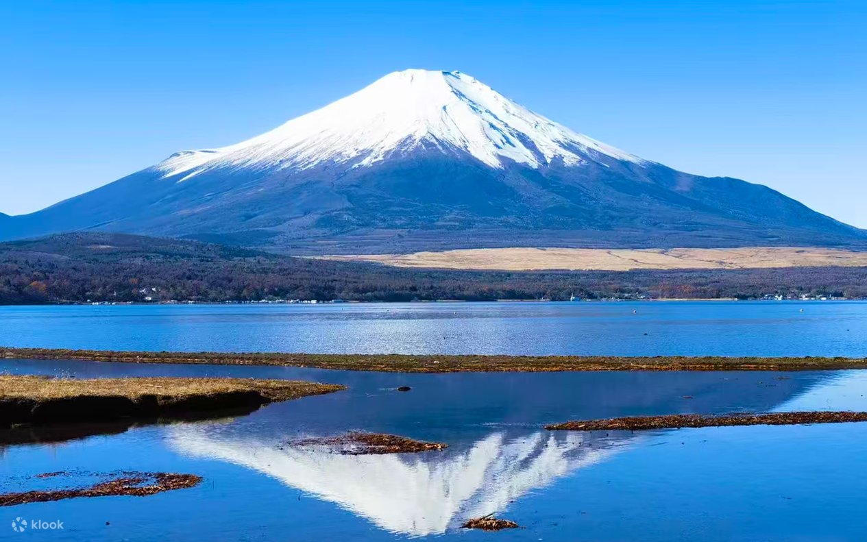 [New way to experience Mount Fuji - Fuji-Q train experience] Fuji-Q ...