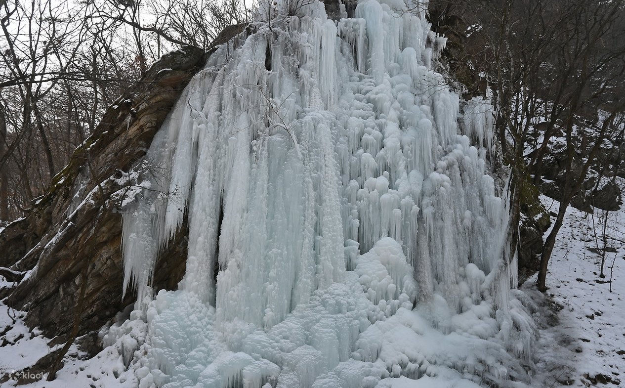 Gugok Waterfall Ice Wall + Elysian Ski Resort Winter Day Tour - Klook