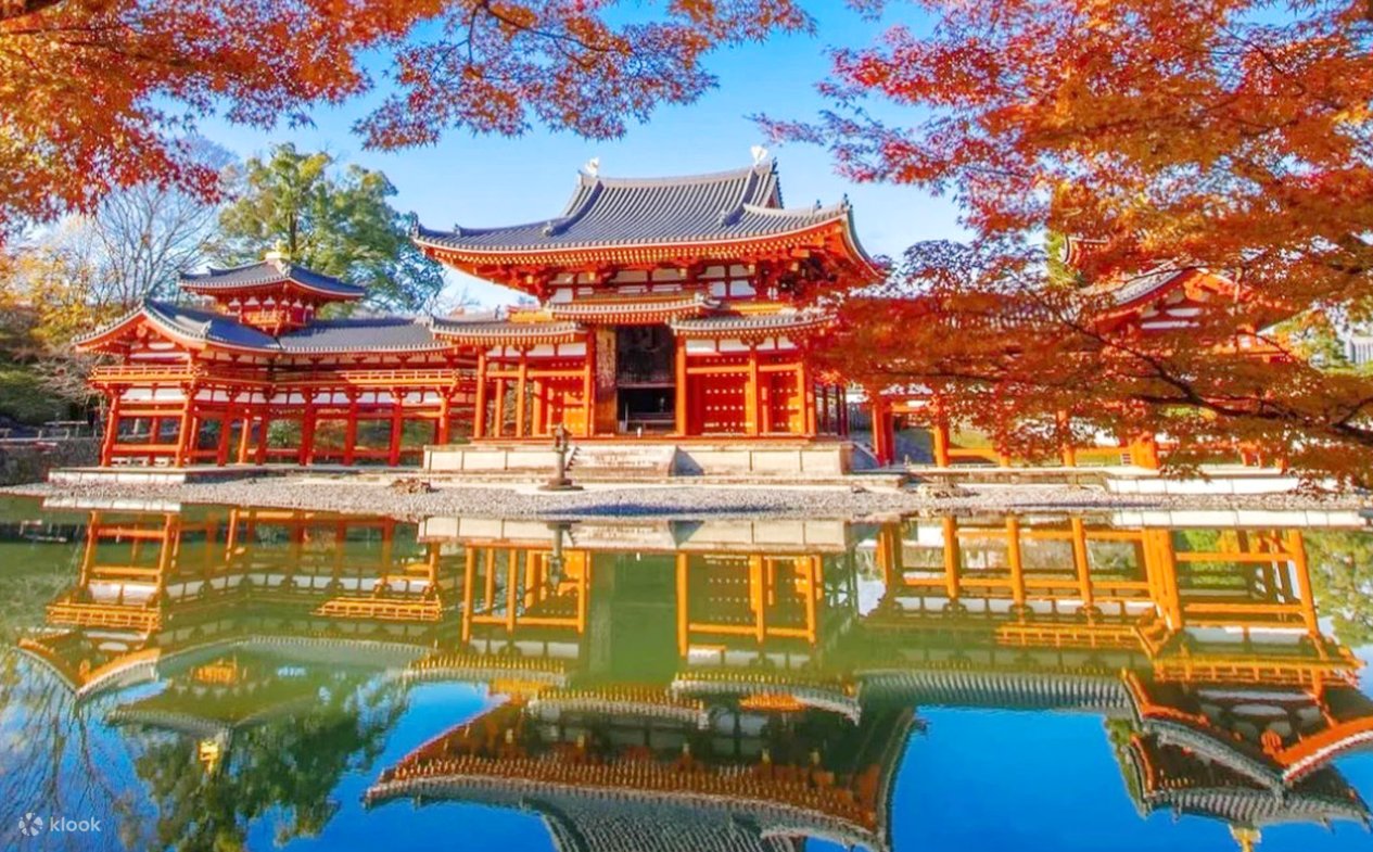 [Nara & Uji] Nara Park & Todai-ji Temple & Byodo-in Temple & Uji Matcha ...