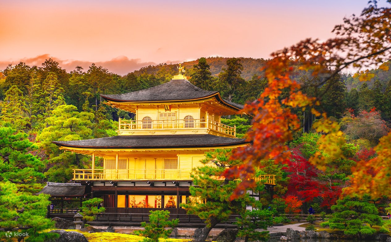 [Exploring Kyoto's Four Must-See Sights] Kinkaku-ji Temple & Nijo ...