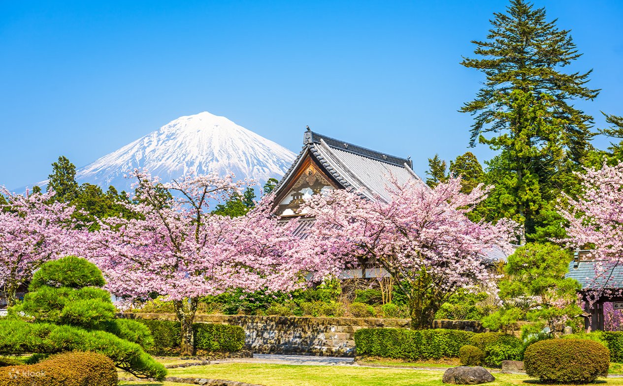 [Mount Fuji Tour & Outlet Shopping/Hot Spring Tour] Mt. Fuji 5th ...